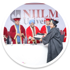 NIILM University Kaithal – AI‑Enabled Private University in Haryana ...