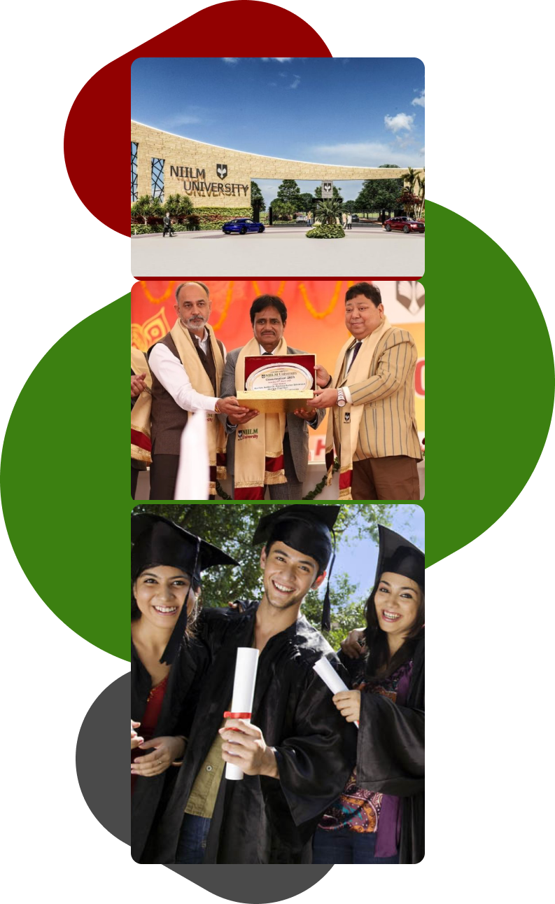 NIILM University Kaithal – AI‑Enabled Private University in Haryana ...
